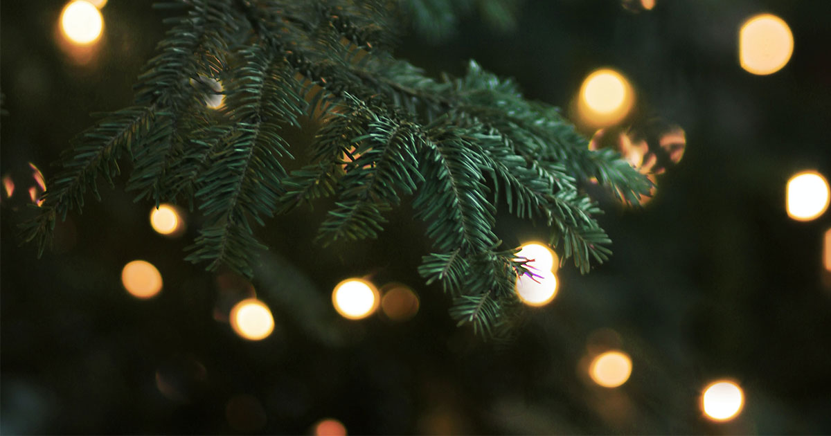En tryggere jul